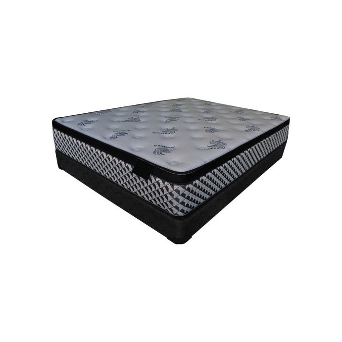 Comfort Plus 54" – MATTRESS MATTERS